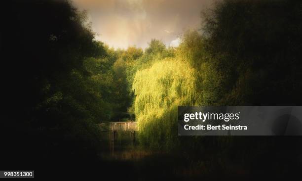 365 Bert Wood Stock Photos, High-Res Pictures, and Images - Getty Images 365 Bert Wood Stock Photos, High-Res Pictures, and Images - Getty Images