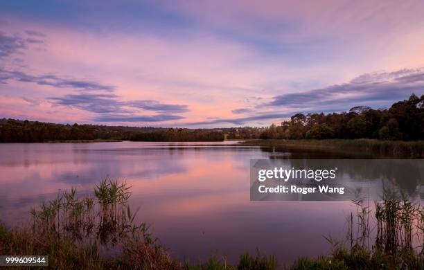 Lilydale Photos And Premium High Res Pictures Getty Images