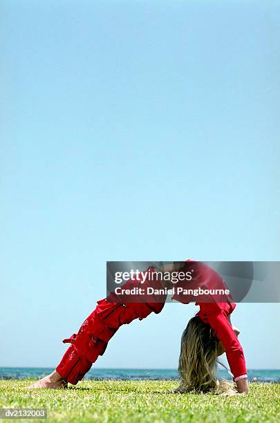 Grass Backwards Photos And Premium High Res Pictures Getty Images